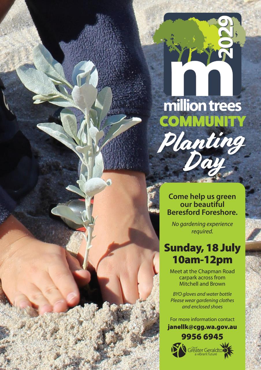 News Story - Be a part of the green transformation » City of Greater ...