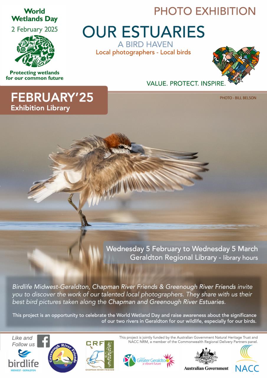 Photo Exhibition - Our Estuaries a Bird Haven » City of Greater Geraldton