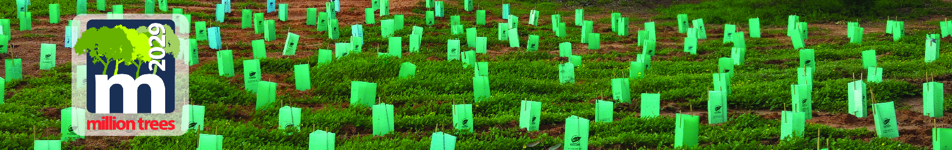 Home » City of Greater Geraldton